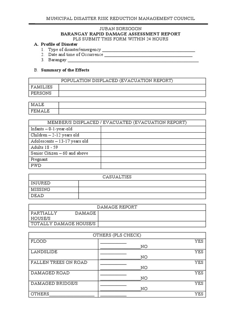 Barangay Rapid Damage Assessment Report A. Profile of Disaster | PDF