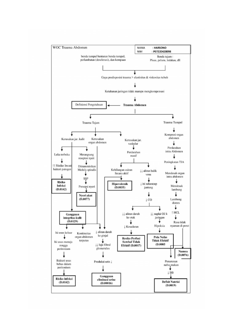 WOC Trauma Abdomen | PDF