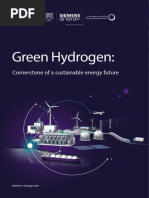 2023-10-19 Clean Hydrogen Ladder 5.0 | PDF | Biogas | Hydrogen