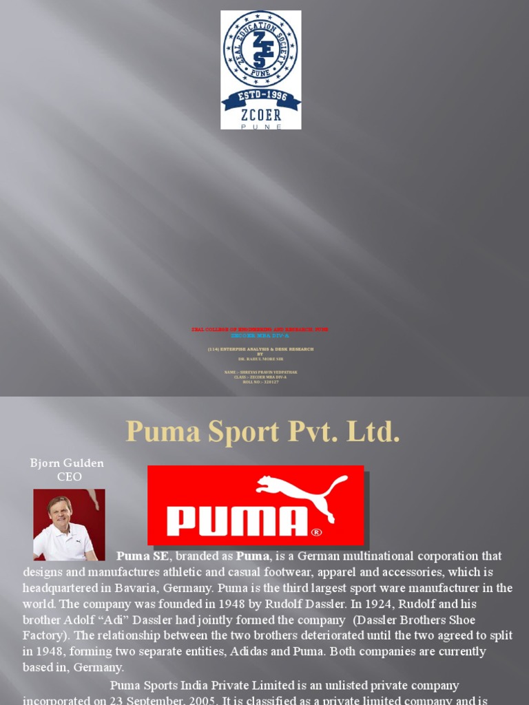 Puma's Financial Performance Analysis | PDF | Price–Earnings Ratio ...