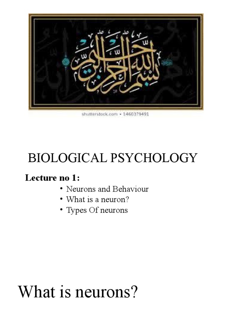 Biological Psychology Neurons | PDF