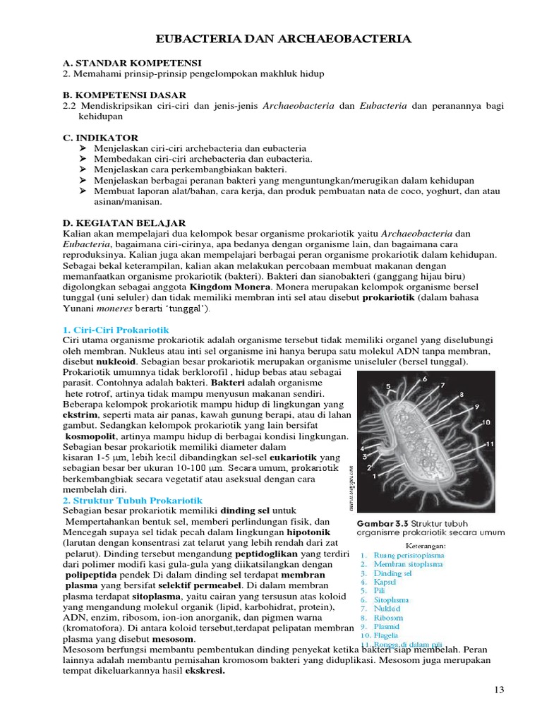 Modul Eubacteria Dan Archaebacteria | PDF