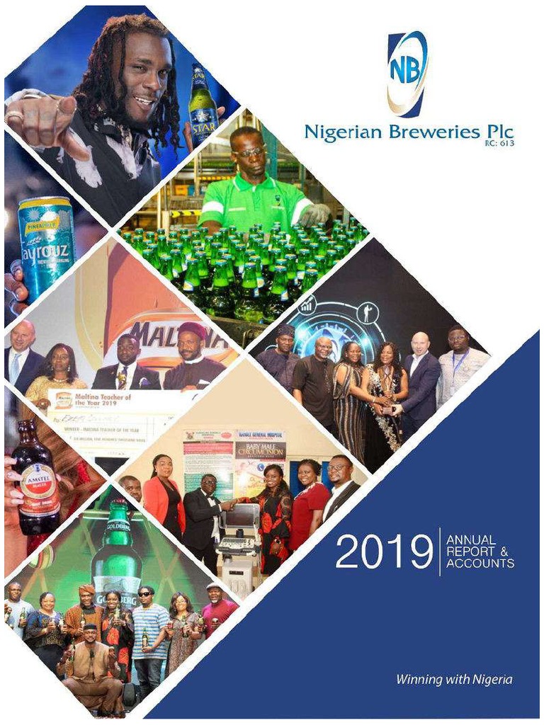 2019 Annual Report and Accounts | PDF