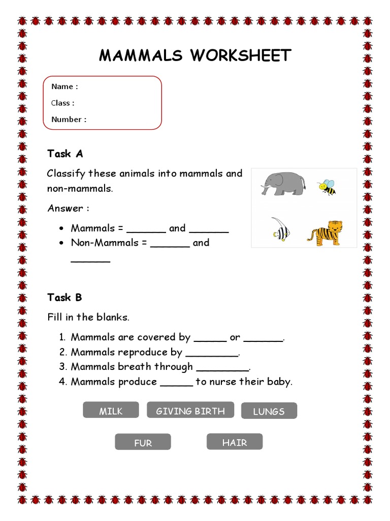 Mammals Classification Worksheet | PDF