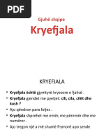 Rrethanori I Mënyrës Dhe Sasisë | PDF