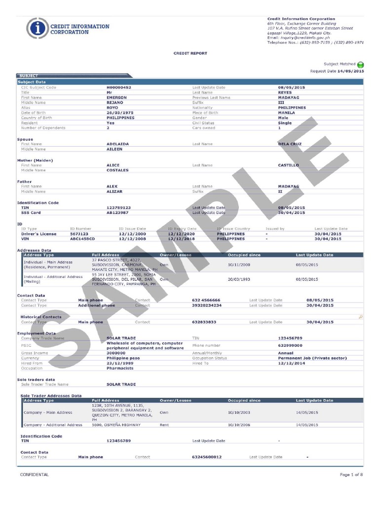 Sample Credit Report | PDF
