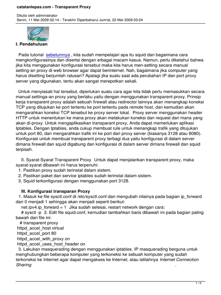 Transparent Proxy | PDF