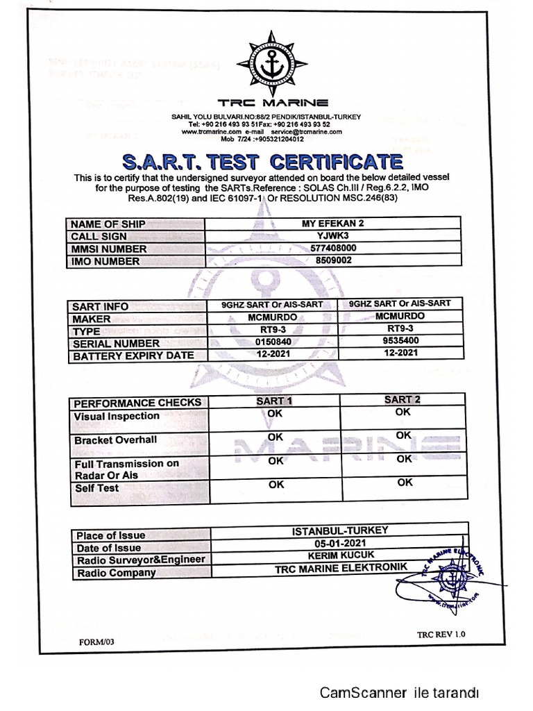 14.2 Sart Test | PDF