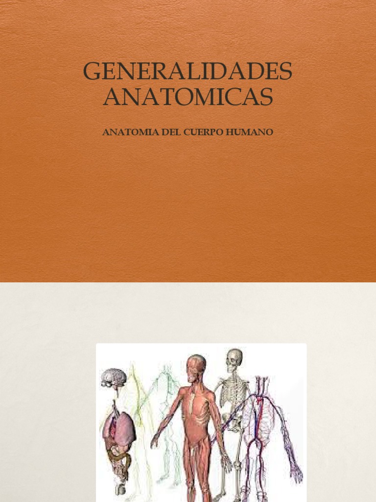 1â Clase Anatomia Generalidades. | PDF | Términos anatómicos de ...