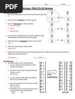 Building Macromolecules Activity - Student Handout - Updated 2020 | PDF ...