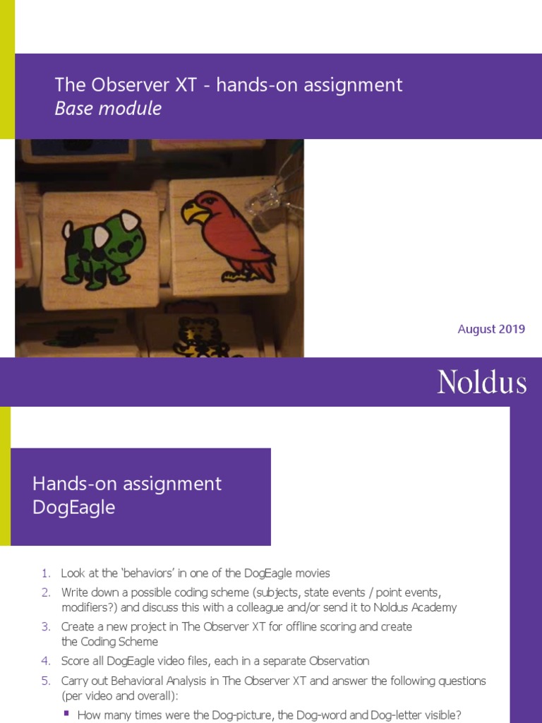 Observer XT DogEagle Analysis Guide | PDF | Games & Activities