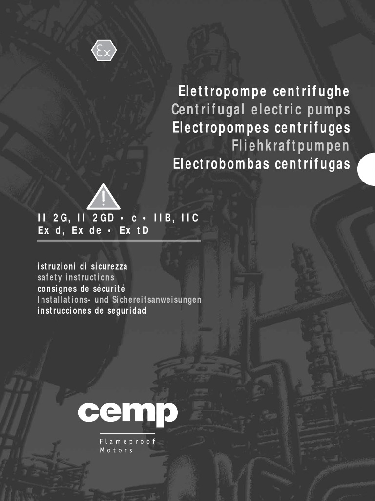 Safety Instructions - Electric Pumps | PDF | Pump | Mechanical Engineering