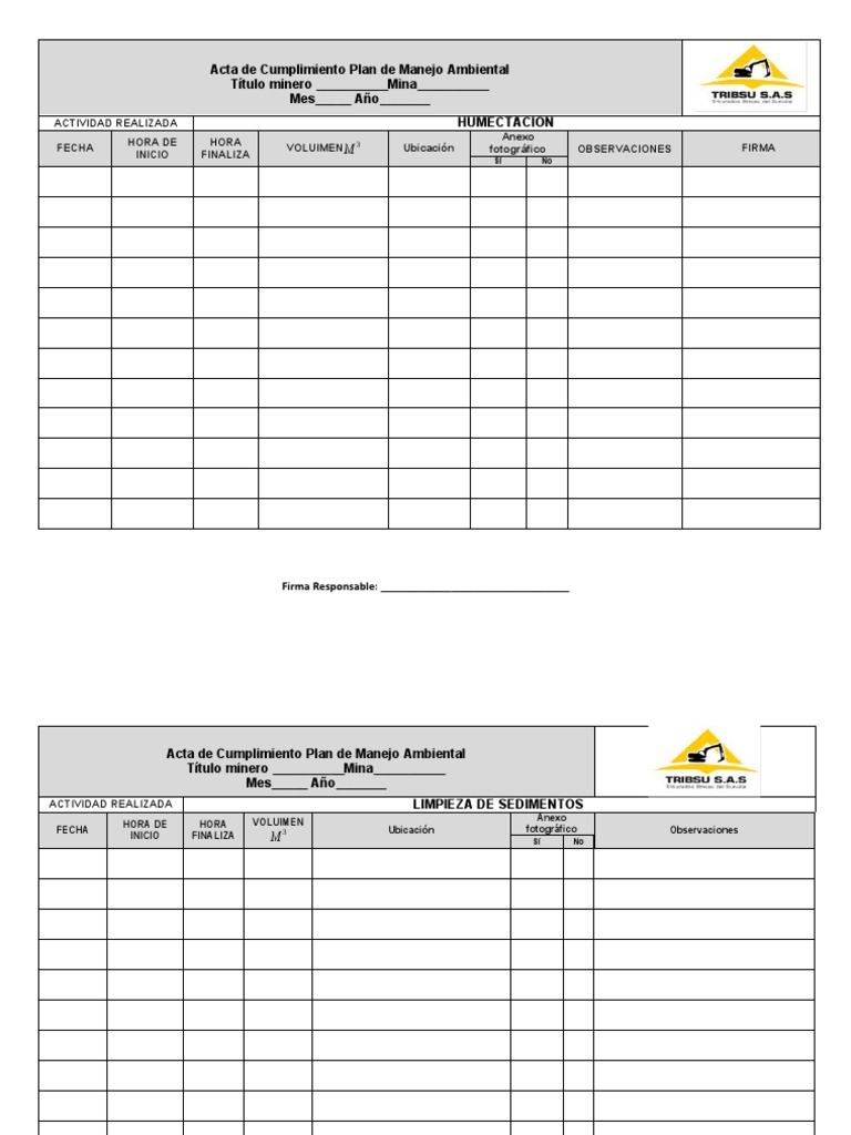 Formato Cumplimiento PMA | PDF