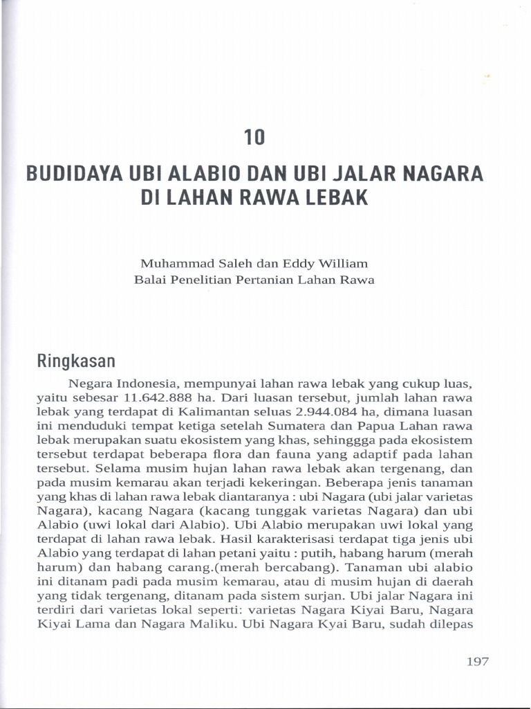 Budidaya Ubi Alabio dan Nagara di Rawa | PDF | Griya & Taman