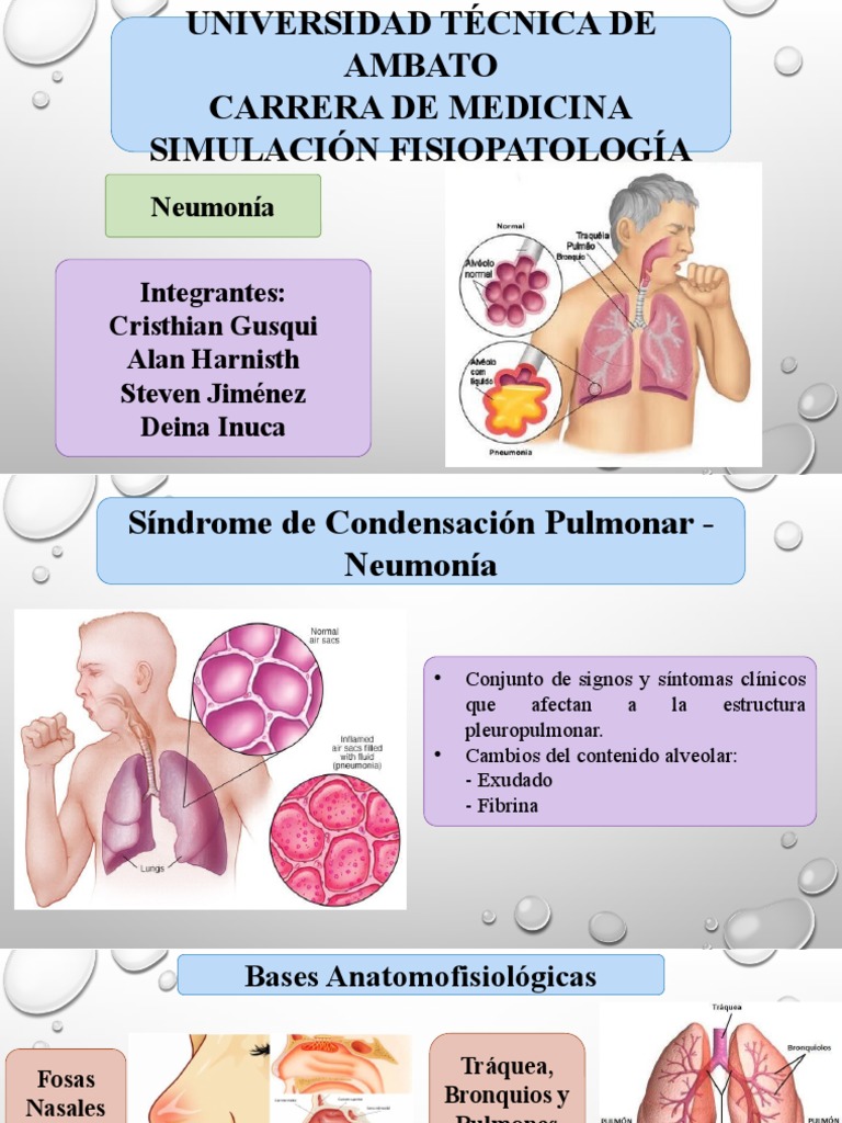 Fisiopatologia Neumonia