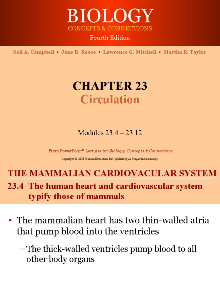 Circulation: Concepts & Connections | PDF | Heart | Heart Valve