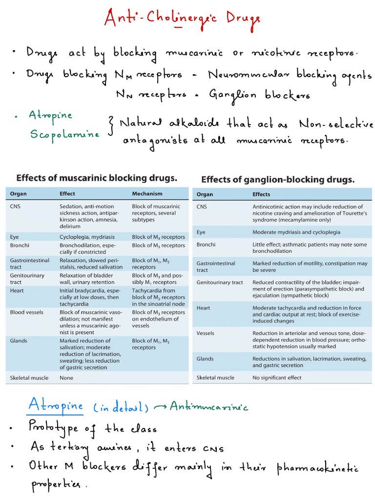 Anticholinergic Drugs | PDF | Receptors | Neurophysiology
