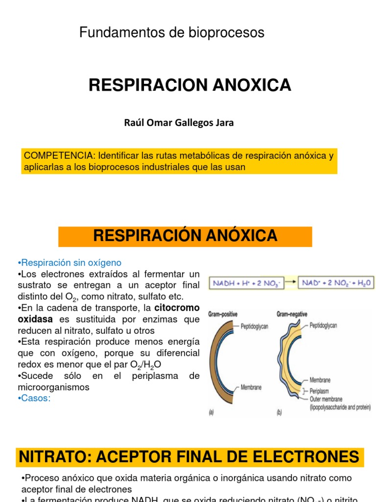 Respiracion Anoxica | PDF | Sustancias químicas | Ciencias fisicas