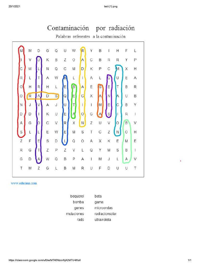 HSLE-Sopa de Letras Contaminacion Por Ruido | PDF