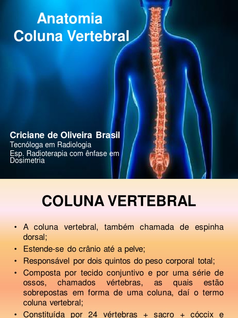 Anatomia da Coluna Vertebral | PDF | Coluna vertebral | Vértebra