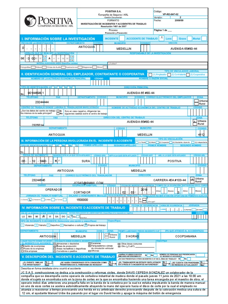 Formato Diapositiva 5 Porques | PDF | Quemar | Lesión
