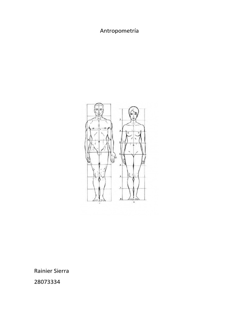 Antropometría Ejercicios Practicos Pdf Antropometría Cuerpo Humano