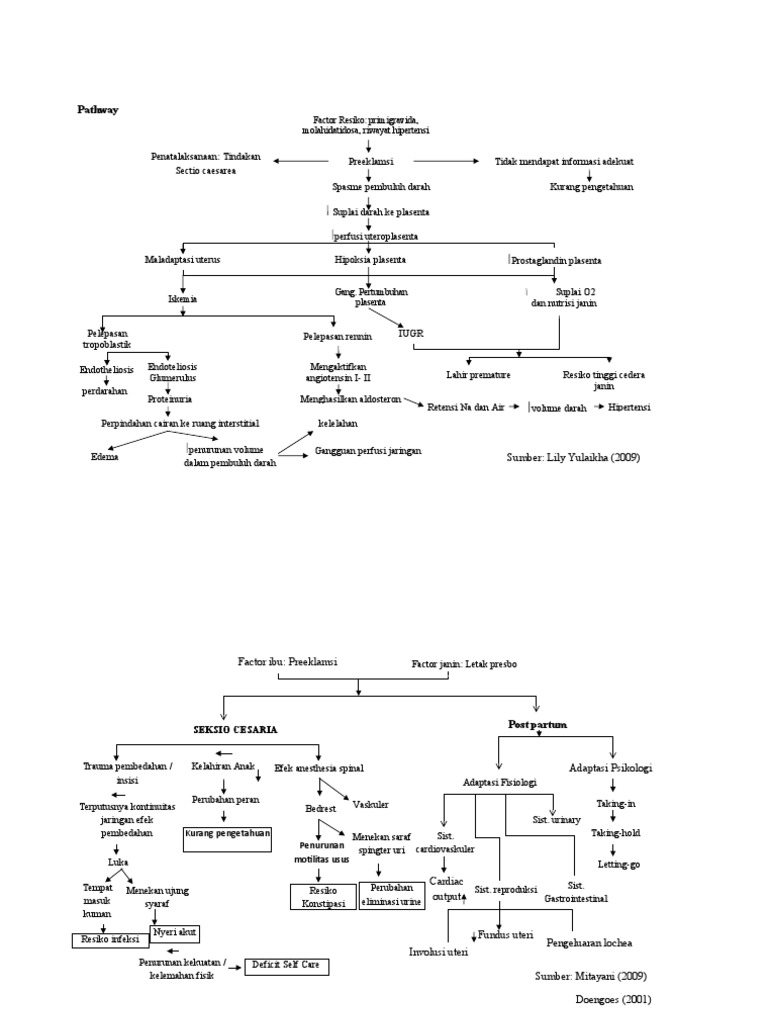 Pathway SC Peb | PDF