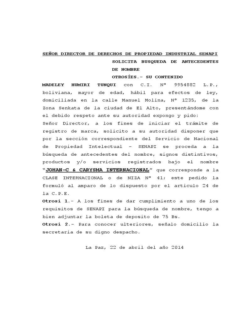 Memorial Senapi BUSQUEDA | PDF