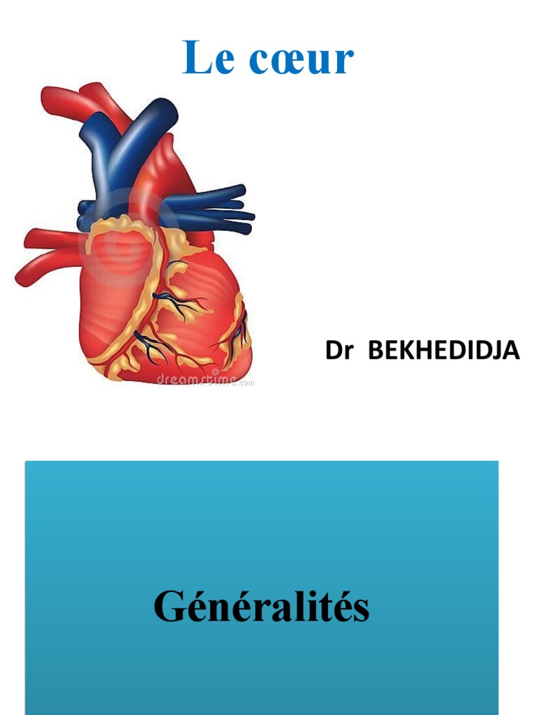 2 - Configuration Extérieure Du Cœur | PDF | Cœur | Atrium (anatomie)