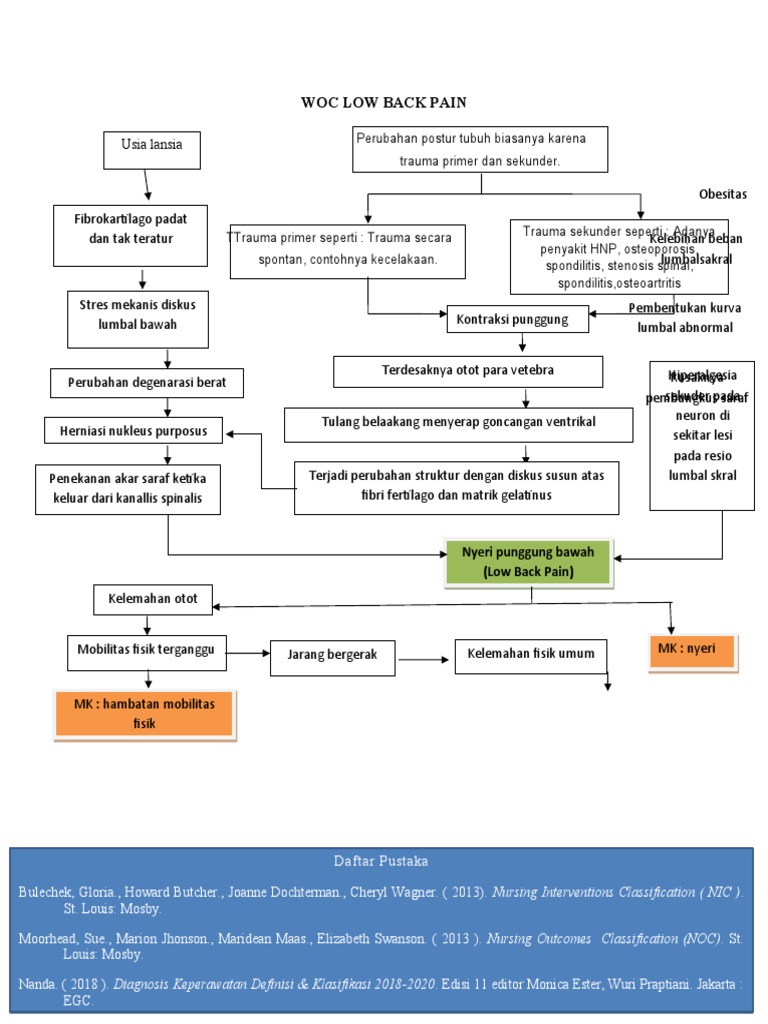 Woc Low Back Pain | PDF