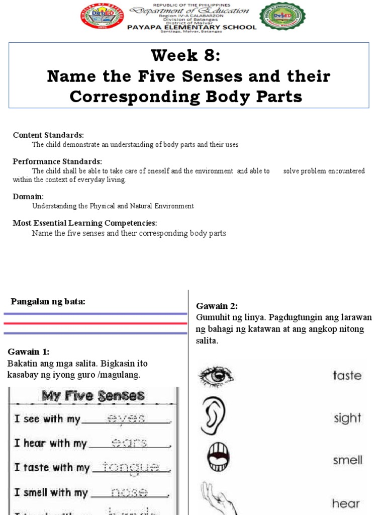 MELC WEEK 8-NAMES THE 5 SENSES AND THEIR CORRESPONDING BODY PARTS BB | PDF