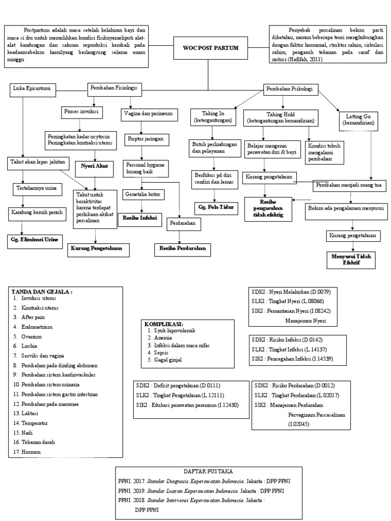 Pathway Post Partum Normal dan WOC | PDF