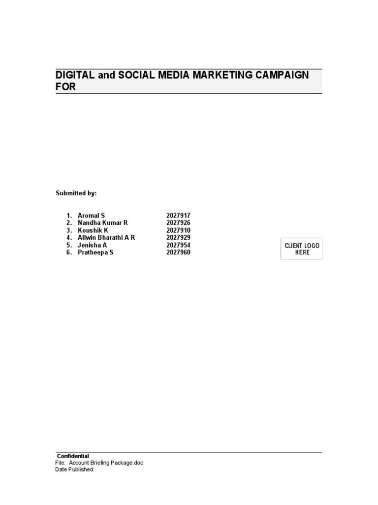 DM Plan - Template | Download Free PDF | Sales | Marketing