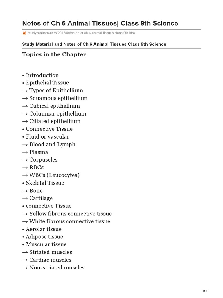 Notes of CH 6 Animal Tissues Class 9th Science | PDF | Epithelium ...