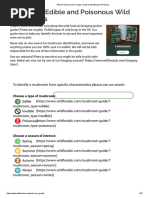GRass N | PDF | Plants | Botany