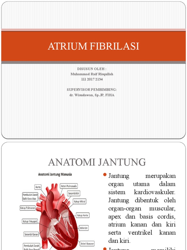 Atrial Fibrilasi | PDF