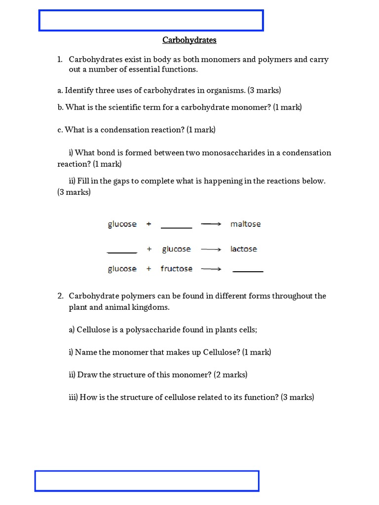 Carbohydrate AS Biology Questions OCR AQA Edexcel | PDF | Science ...