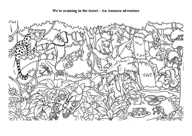 Roaming in The Rainforest | PDF