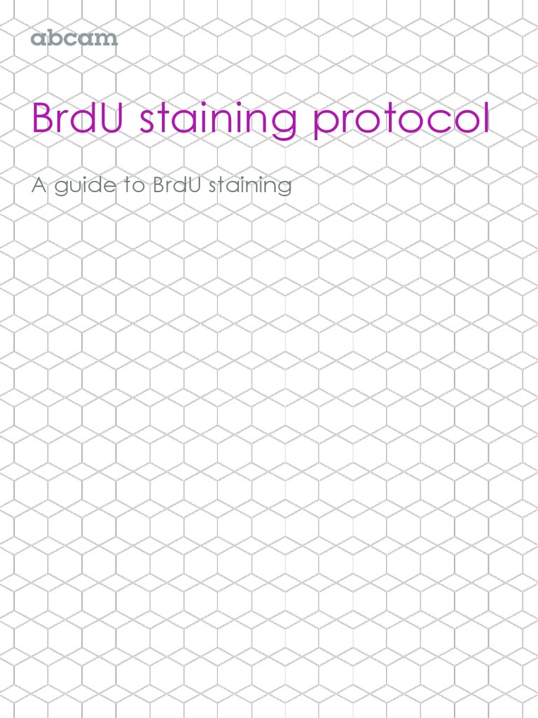 BrdU Protocol | PDF | Immunostaining | Immunohistochemistry
