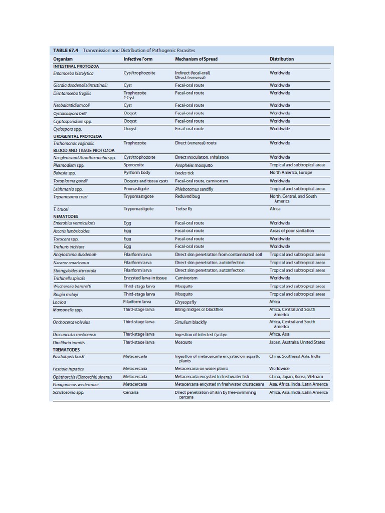 Transimisi Parasite Edited Baru BGT | PDF