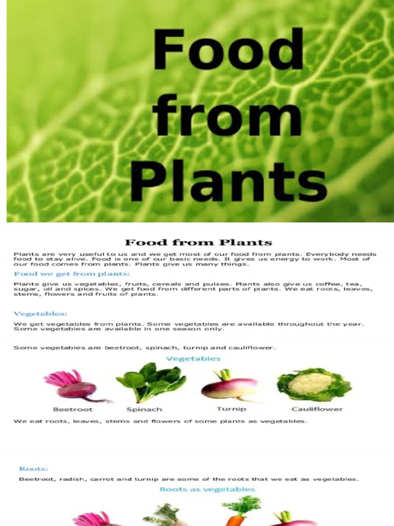 EVS Sources of Food From Plants | PDF