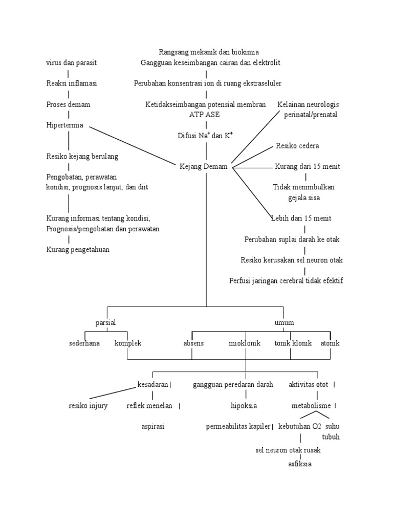 Pathway Kejang Demam | PDF