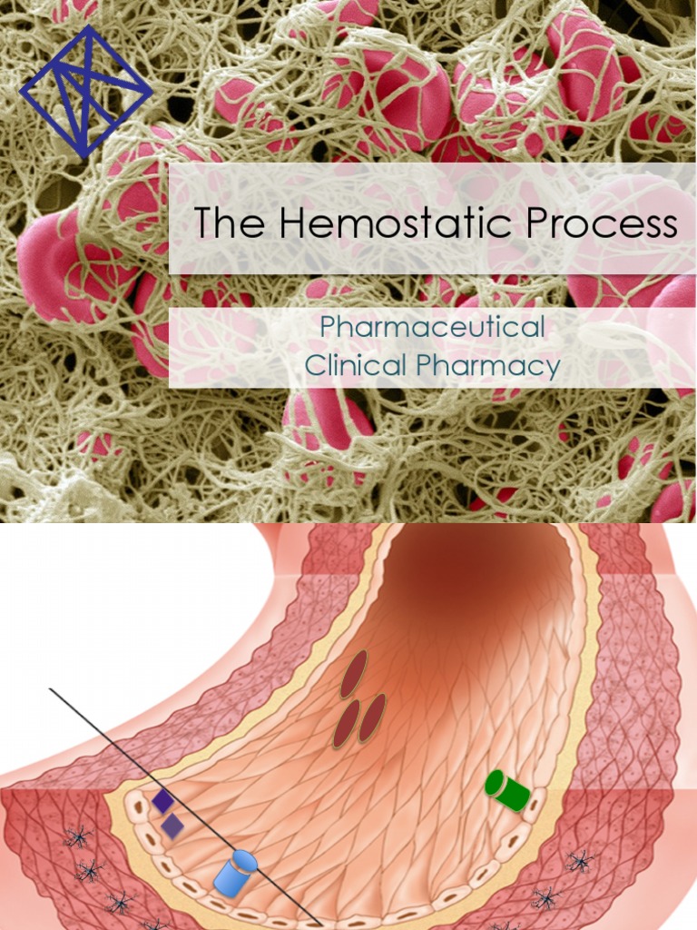Understanding the Hemostatic Process | PDF | Science & Mathematics