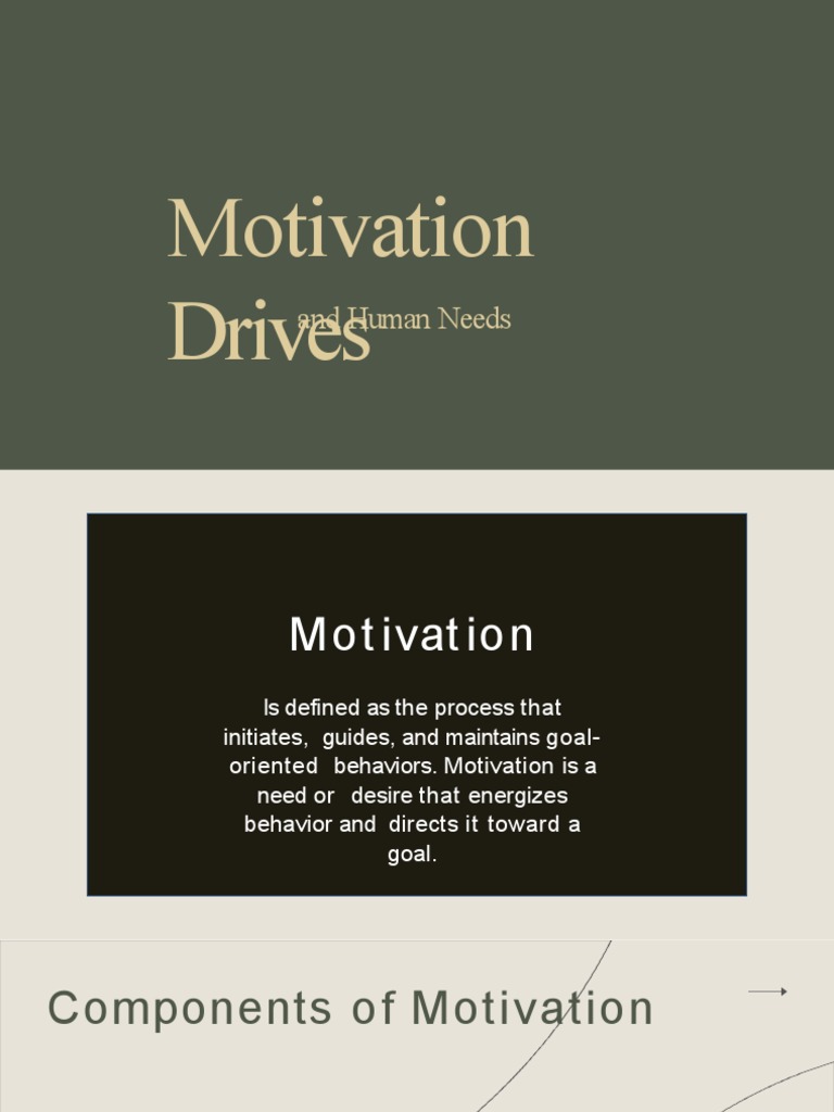 Motivation Drives | PDF | Motivation | Motivational