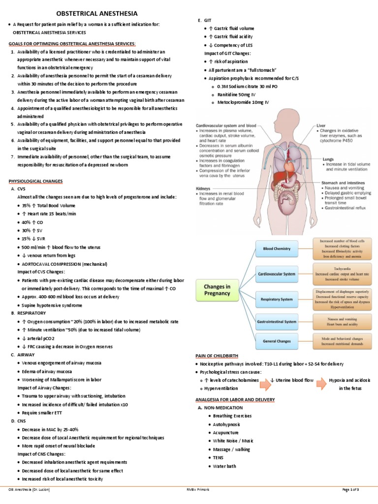 (OB) 2B - Obstetrical Anesthesia (By Dr. Bretta Lucion) | Download Free ...