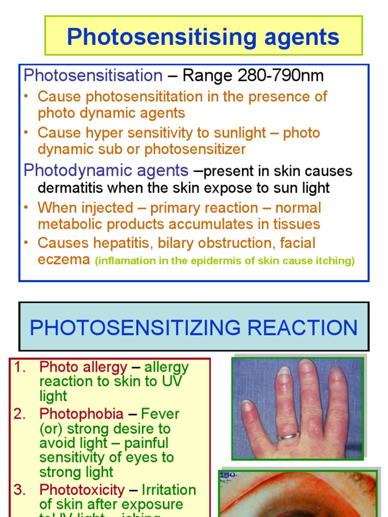 Photosensitizing Agents in Cows | PDF | Clinical Medicine | Medical ...