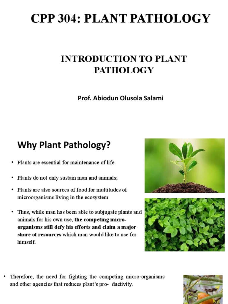 CPP 304 | PDF | Plant Pathology | Plants