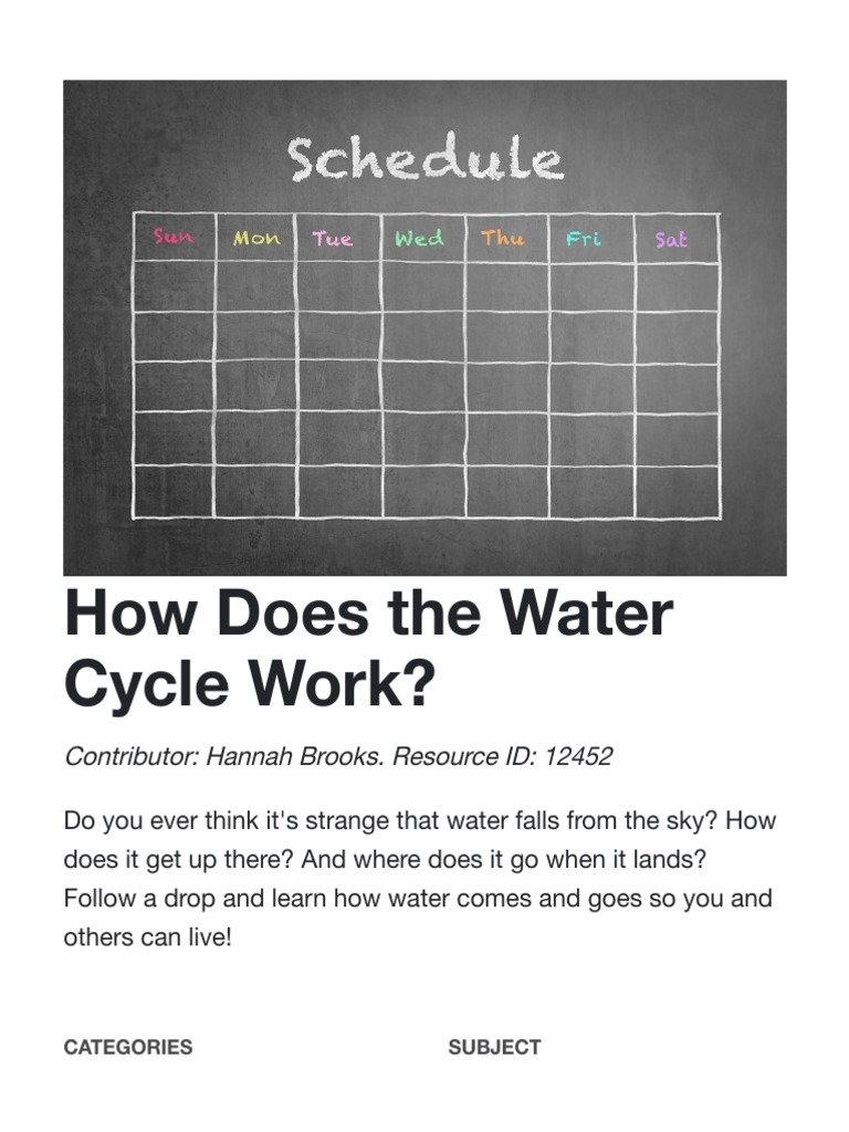 Water Cycle Adventure for Kids | PDF | Water | Water Cycle