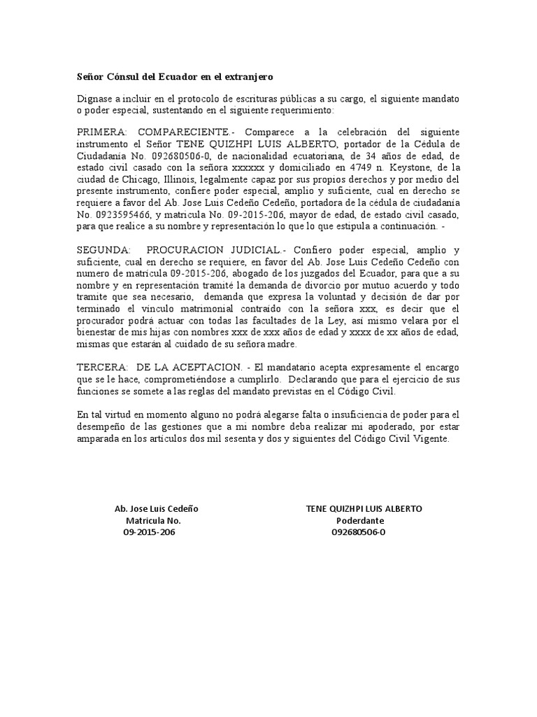 Modelo Minuta Poder Especial | PDF