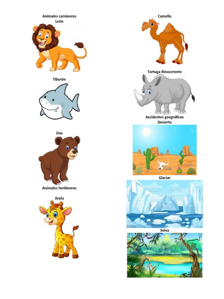 Animales Carnívoros | PDF